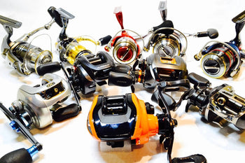Fishing Reel Size Guide: Find the Perfect Reel for Your Next Catch ...