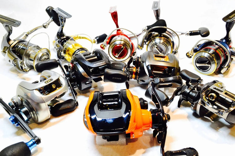 Fishing Reel Size Guide: Find the Perfect Reel for Your Next Catch ...